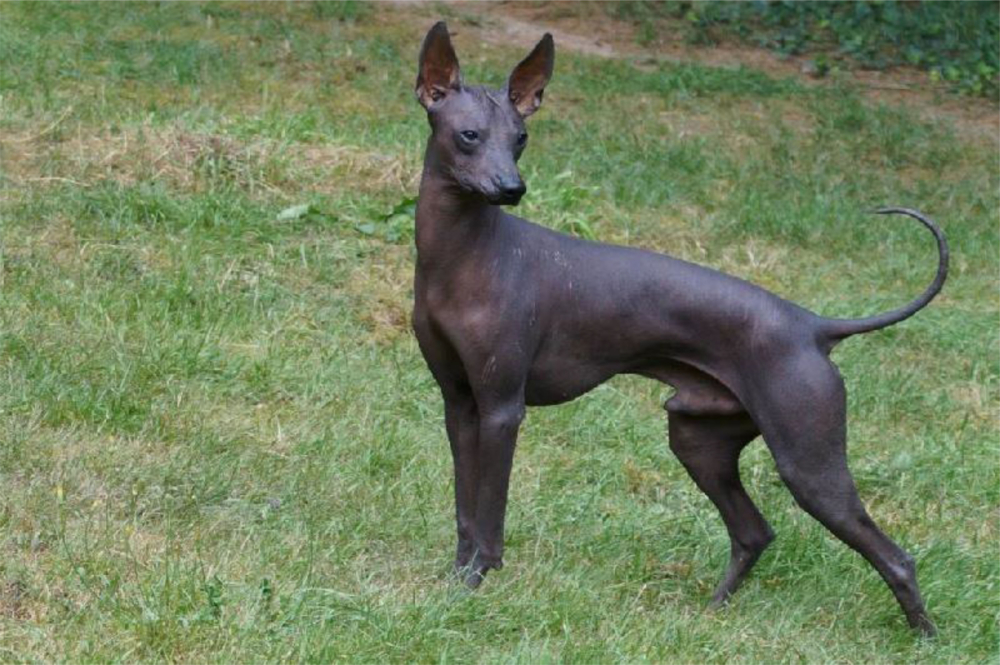 Actualités - JPL Productions